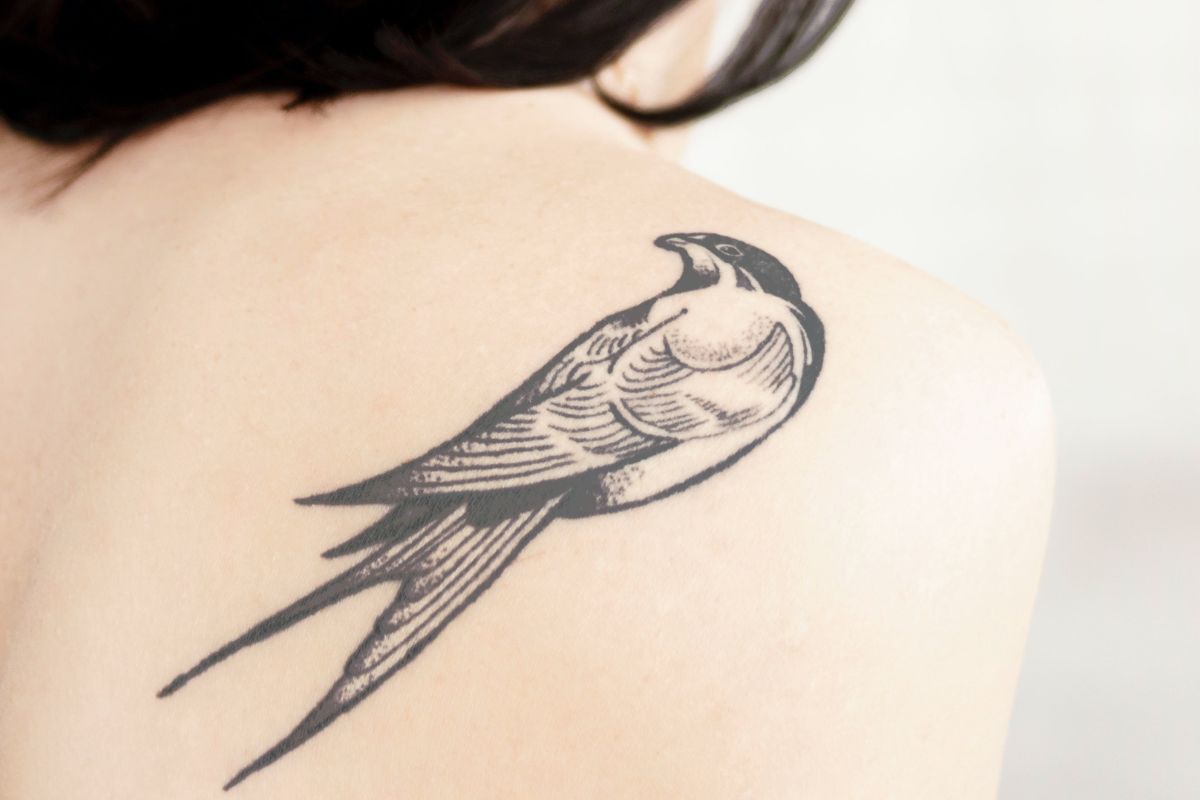 Tatuaggio Rondine | Significato, Storia E Dove Farlo